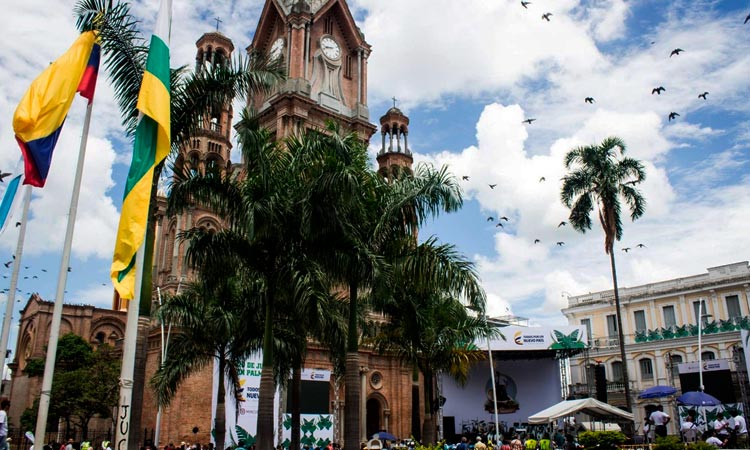 Palmira define pico y cédula