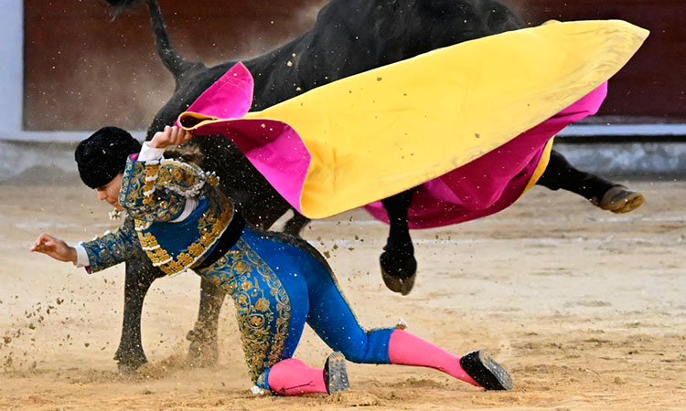 Lo bueno, lo malo y lo feo de la jornada taurina del 26 de diciembre