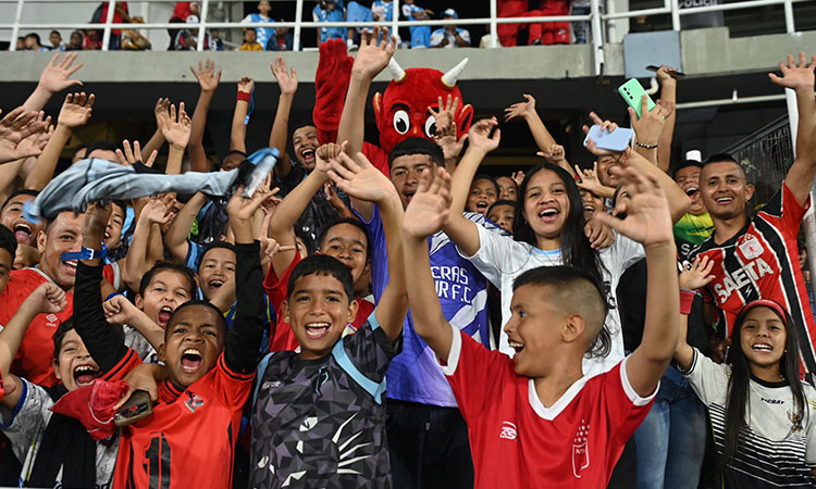 Tribuna sur del Pascual Guerrero abre sus puertas con nueva regla para ...
